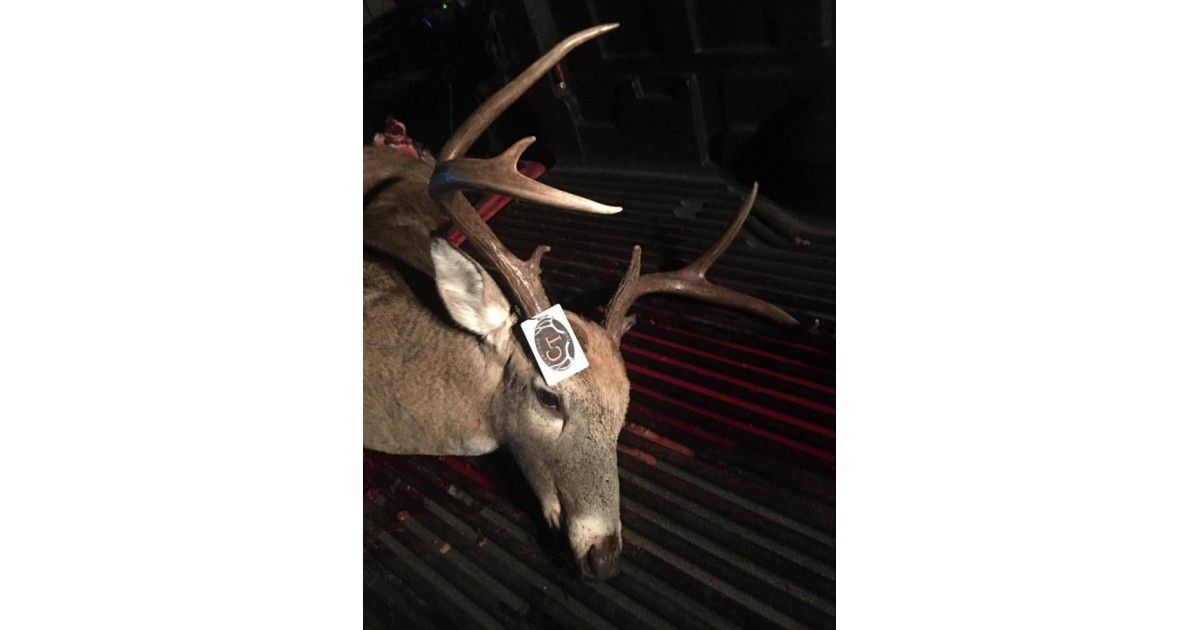 Oregon Hunting Tag