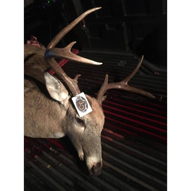 Oregon Hunting Tag